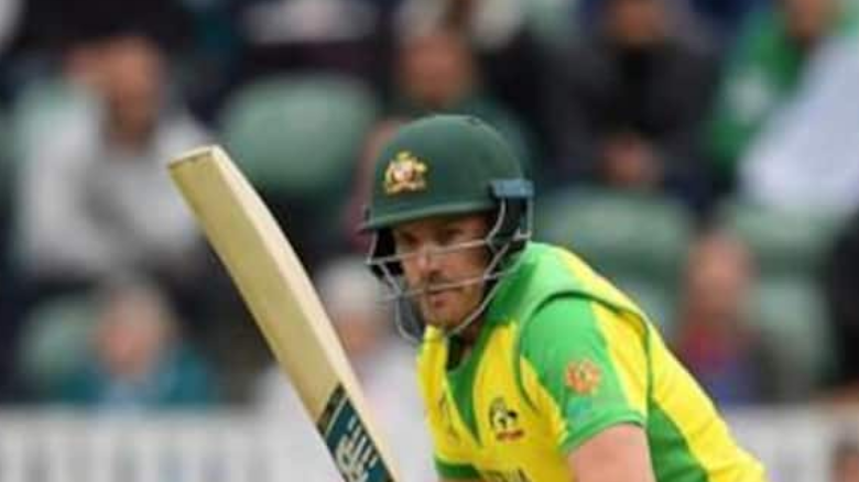 Cricket Tips For Beginners - Cricket Tricks and Tips to Help You Play ...